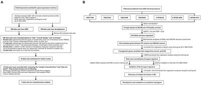 Frontiers | Development and Validation of a Five-Gene Signature to Predict Relapse-Free Survival ...